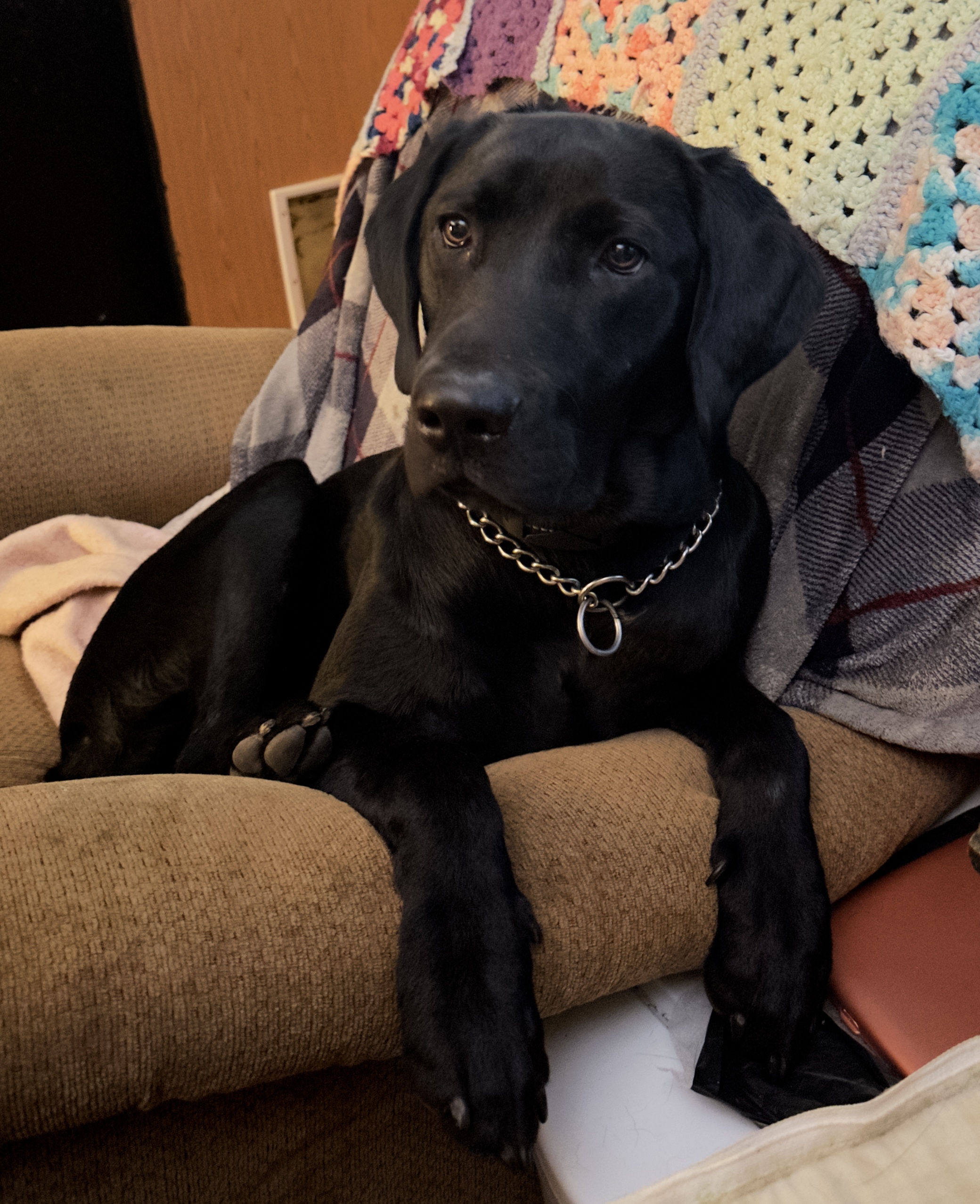 The Failed Lab Experiment – Cari R Esta